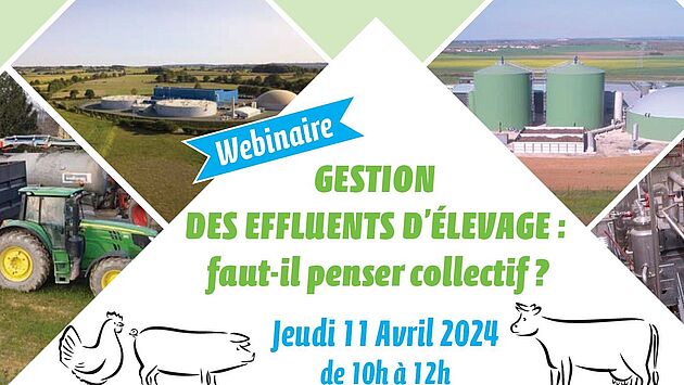 Institut de l'Élevage - Idele.fr