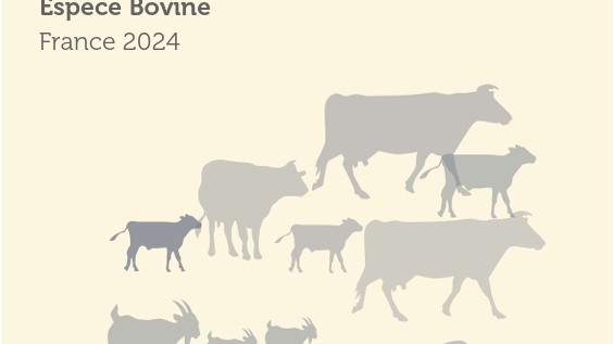 Institut de l'Élevage - Idele.fr